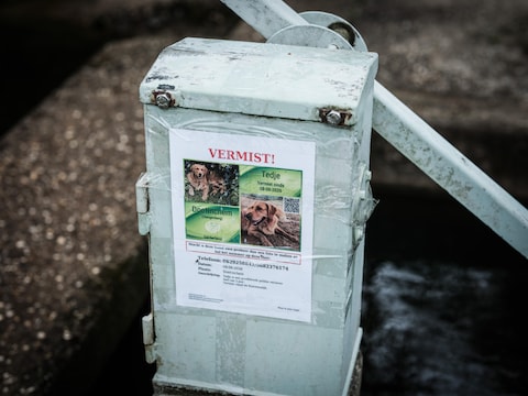 Nog altijd geen spoor van vermiste Tedje: ‘Hoe kan het dat niemand zo’n ...