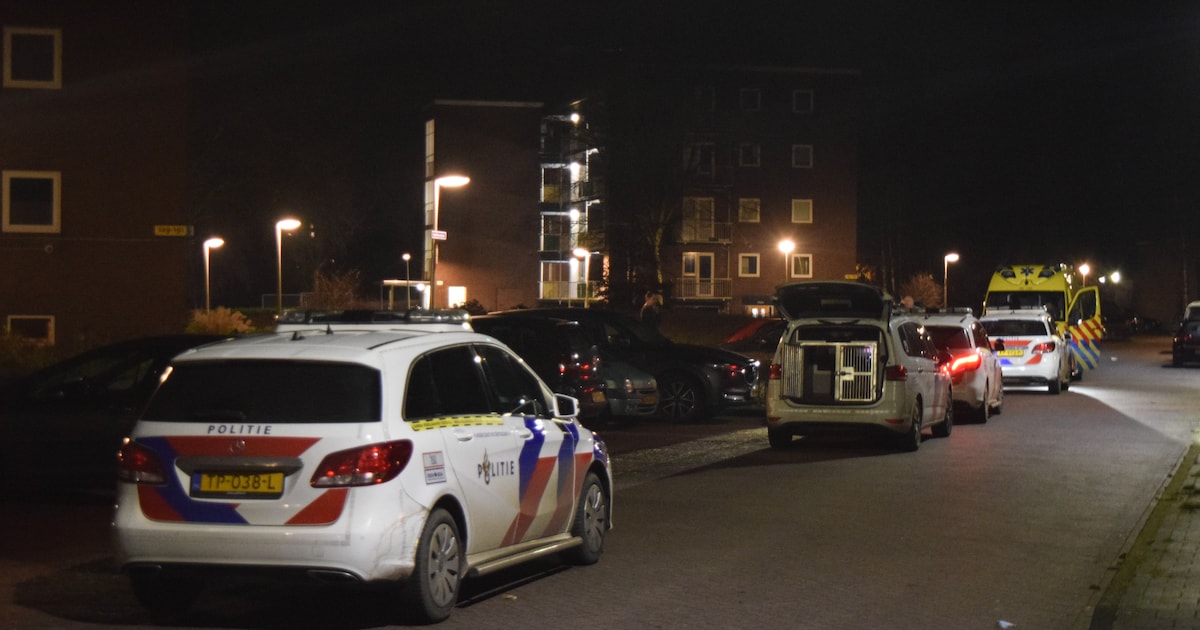 Daders van gewapende overval op Doetinchemse woning nog op de vlucht | Doetinchem | gelderlander.nl