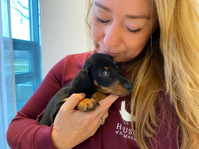 Opgepakte Hongaren vrij die worden verdacht van illegale puppyverkoop ...
