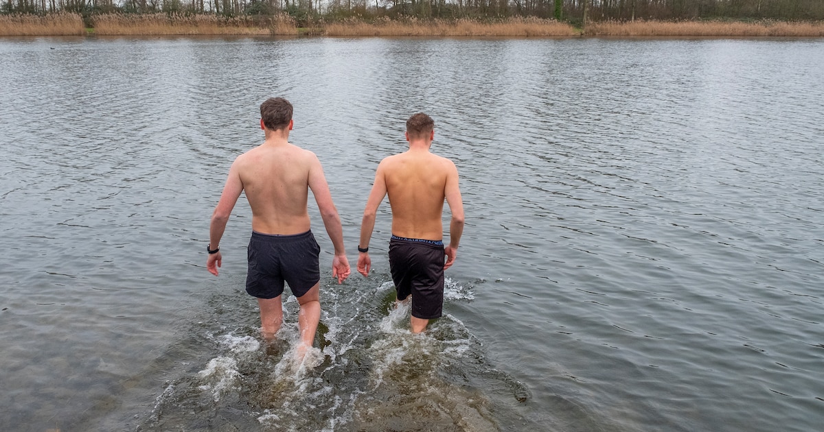 Waarschuwing voor blauwalgen in Wylerbergmeer ingetrokken | Regio | De ...