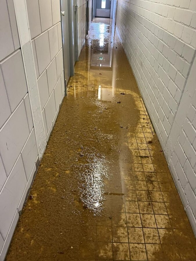 Jacqueline is jarenlange overlast van poep in haar flat spuugzat: ‘Het ...