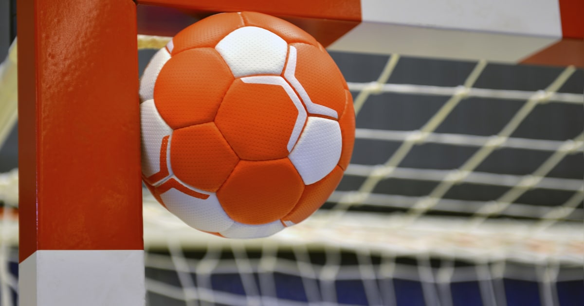Slotdag rolstoelhandbal Maas-Rijn League bij Swift Helmond | Regio | De ...