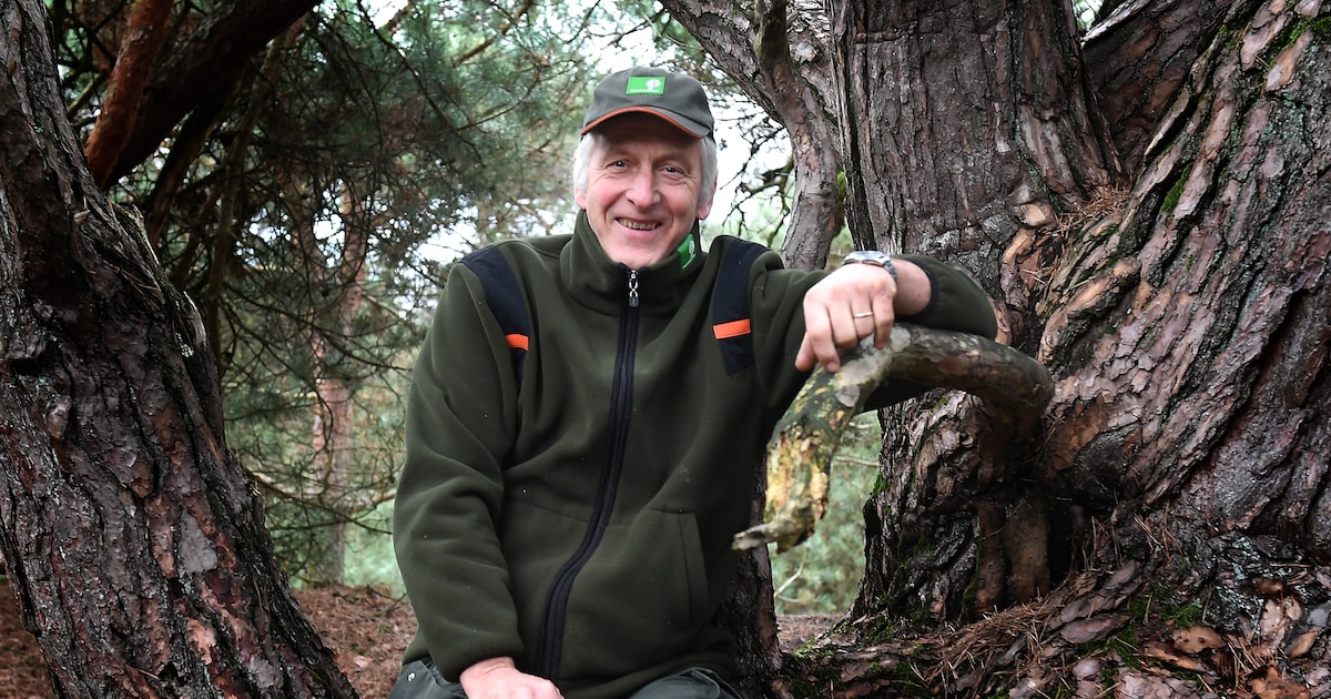 Frank van Kalleveen, het gezicht van het bos, vertrekt | St. Anthonis ...