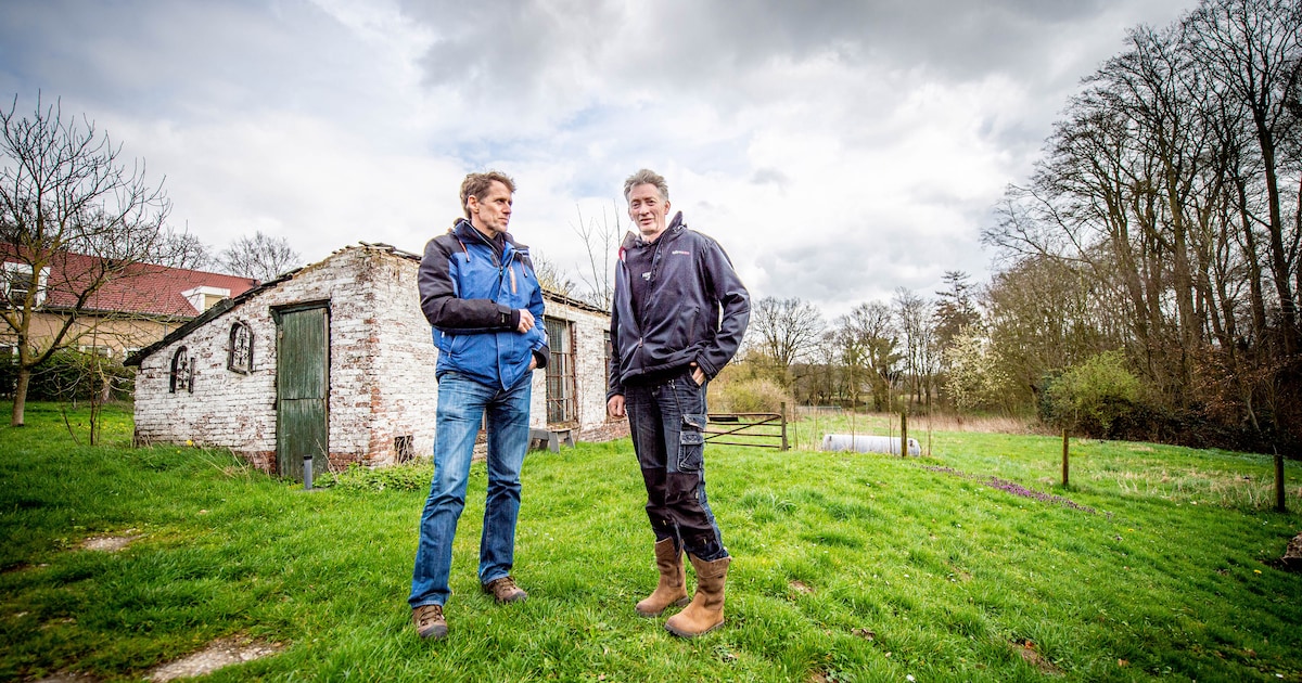 Was de Romeinse steenbakkerij op De Holdeurn nog groter dan gedacht ...