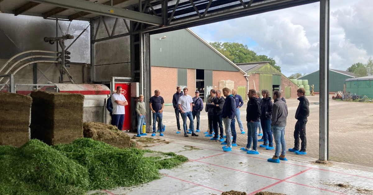 Twaalf boeren openen deuren bij Loeren bij de Boeren | Aalten | De ...