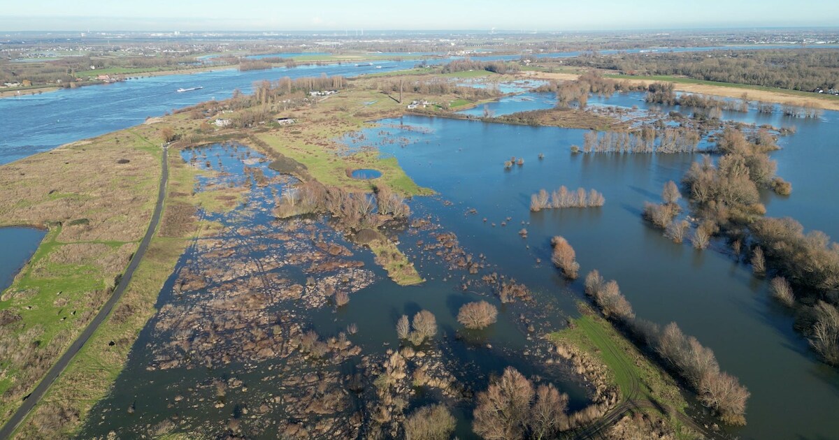Dronebeelden: zo hoog staat het water van de Waal in Nijmegen nu ...