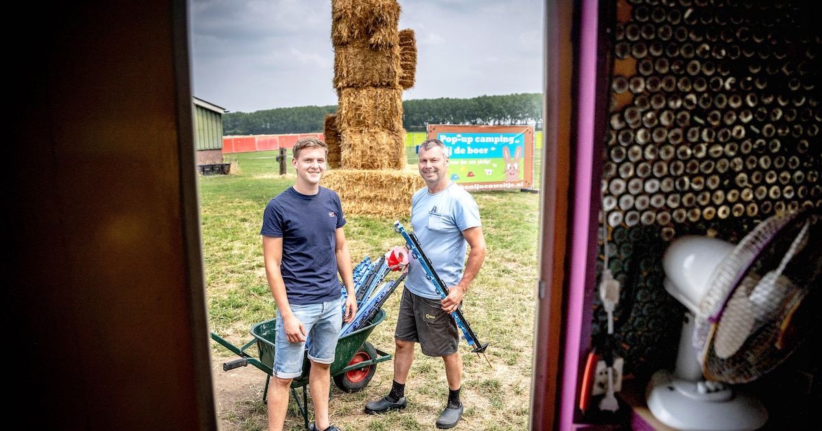 Boer Herbert gaat door met camping bij Down the Rabbit Hole: ‘Even wat ...