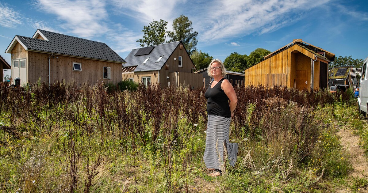 Ingrid moet ‘villa’ in wijk vol tiny houses tolereren: ‘Past in ...