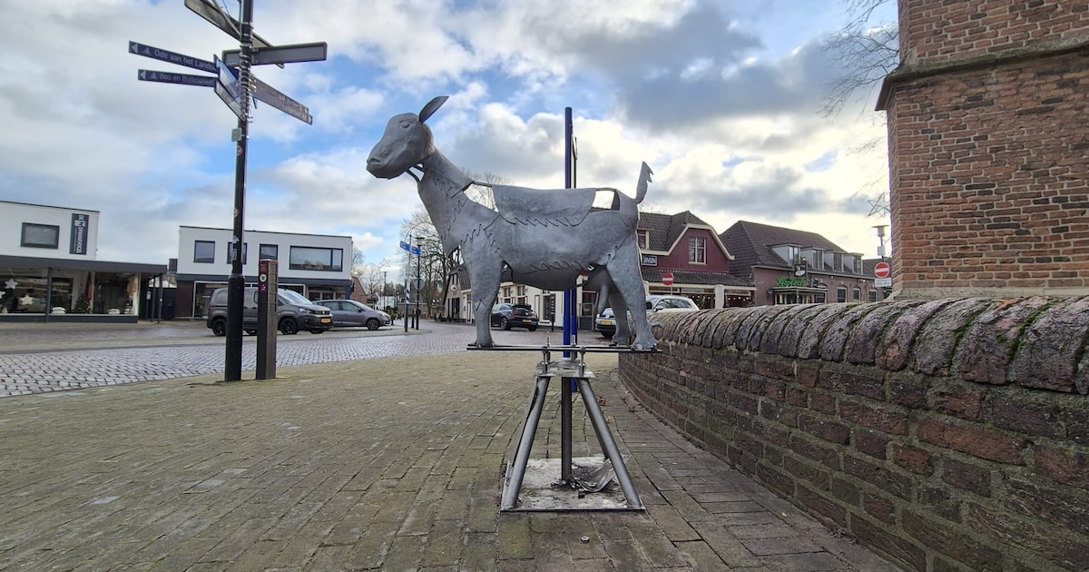 Deze oudejaarsstunt slaagt wél: Friese geit duikt op in Hengelo | Regio ...