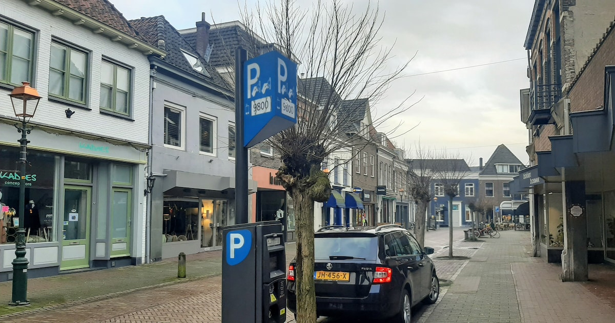 Doesburg stelt nieuw parkeerbeleid uit, voorlopig wachtlijst voor wie ...