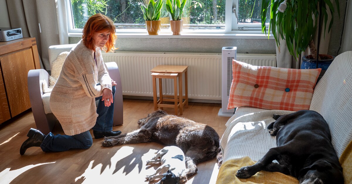 Dierentolk Boetje praat met dieren: ‘In het begin dacht ik: ik zit dit te verzinnen’ | Frank ...