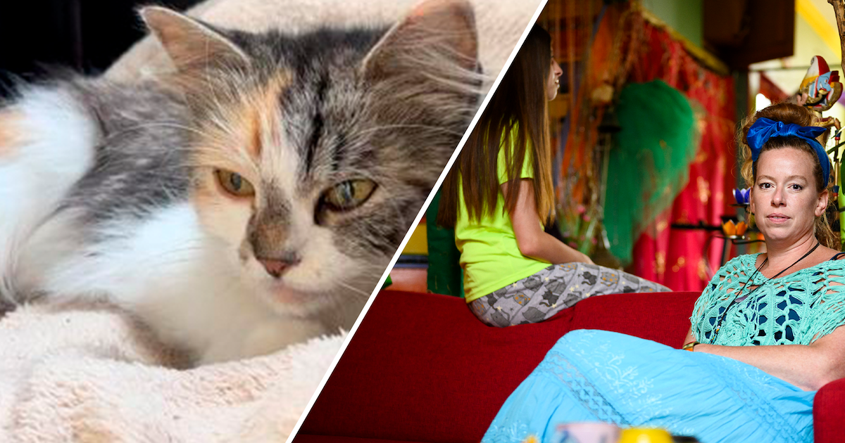 Lina (14) gaat al twee jaar niet naar school • Wie dumpte kat Pleun ...