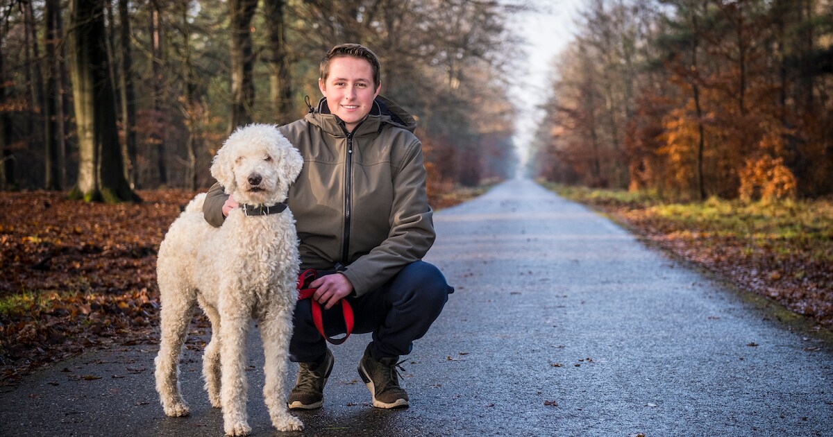 Timo maakte dé beelden van roedel Veluwse wolven: ‘Ze denken vast dat mijn hond een schaap is ...
