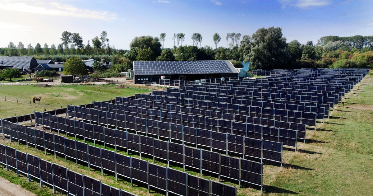 Plan voor nieuw zonnepark met verticale zonnepanelen: 'Geeft zelfs meer ...