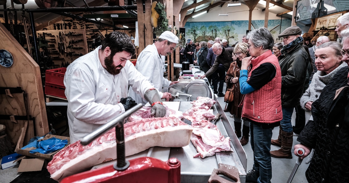 Slachten kent in Zelhem geen geheimen meer: ‘Mooi dat alles van het ...