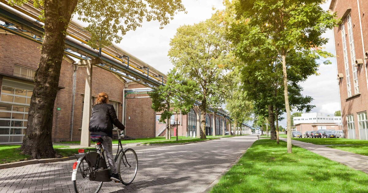 Rijtjeshuizen optrekken uit beton? ‘Spilzucht’ vindt architect Jan ...
