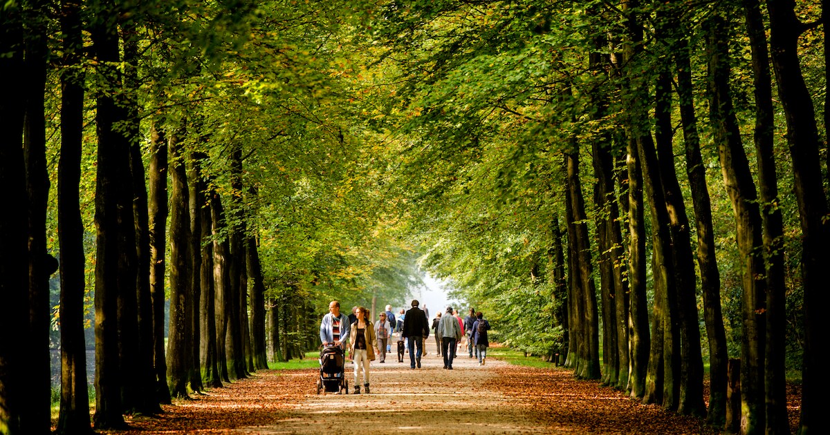 Op laatste dag van de herfst laat de zon zich zien, lokaal kan wel een bui vallen | Binnenland ...