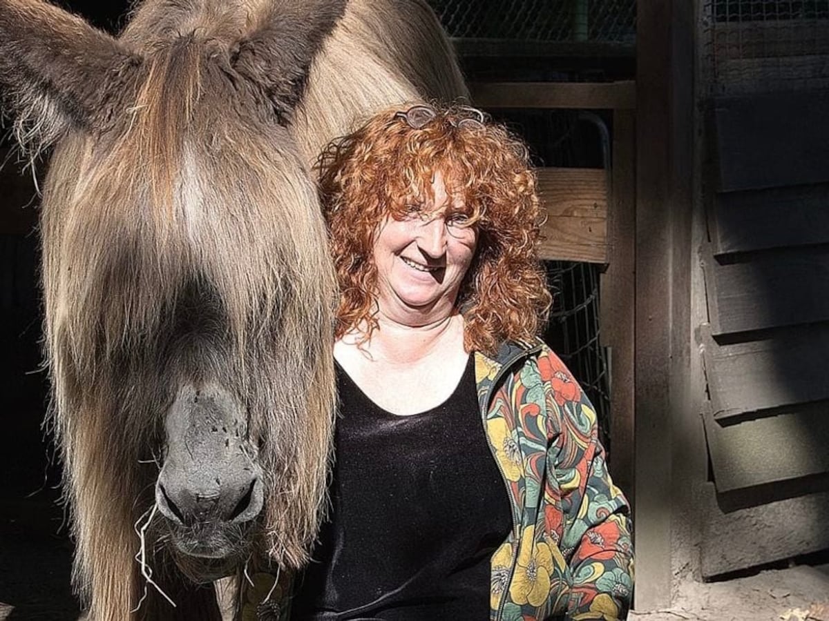 Haren van ezel Lou Lou ongevraagd geknipt in Oss, maar dan komt ‘Even ...