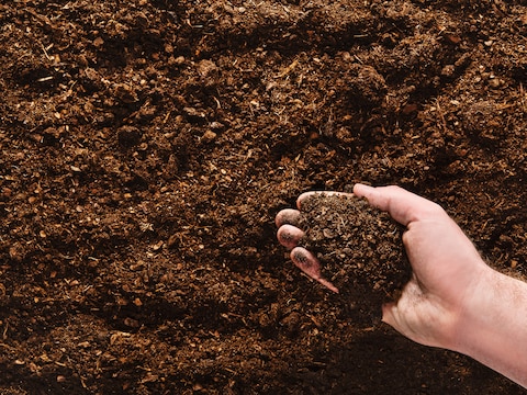 IVN-lezing in Beugen over stabiele humus | Land van Cuijk | De ...
