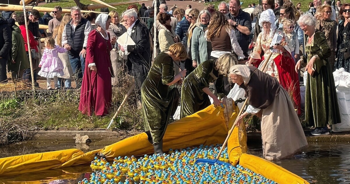 Gele zee in Graafse haven: eerste Grachteneendenrace brengt 17.500 euro ...