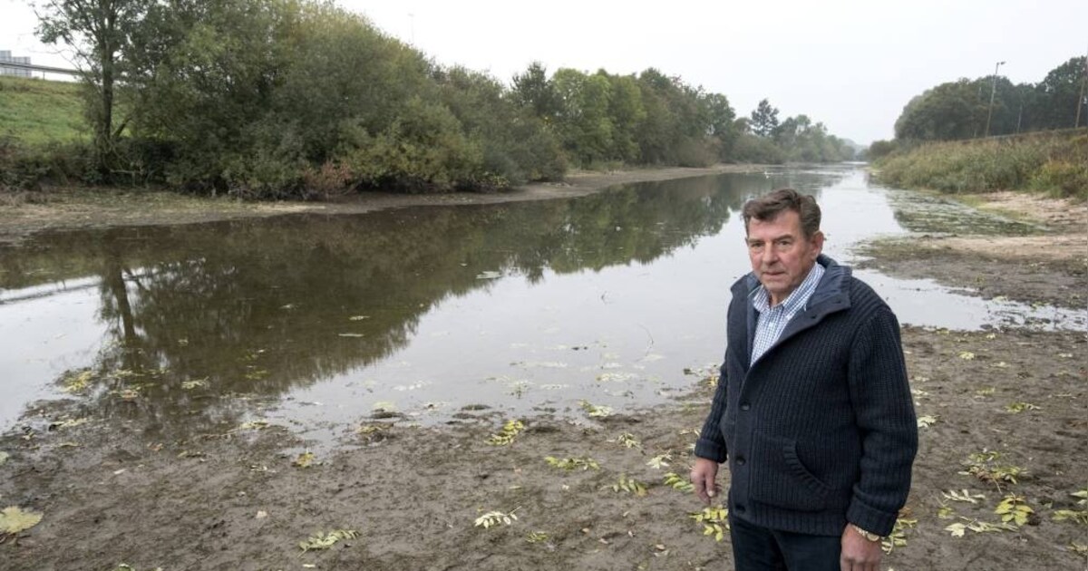 Vissen langs A348 bij Rheden in gevaar door droogte | Home | De ...
