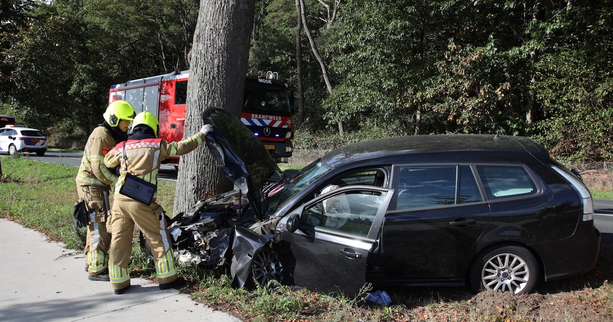 Automobilist rijdt tegen boom langs Rijksweg in Mook, traumahelikopter ...