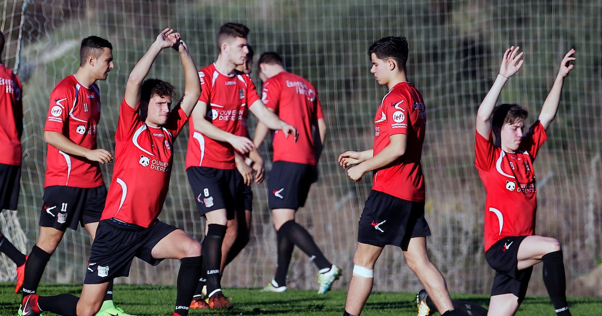 NEC mondeling akkoord met talent Hoogveld over verlenging contract ...