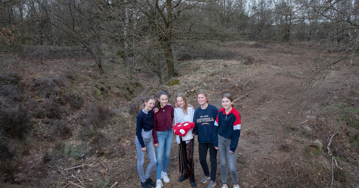 Pratende paddenstoelen op de Edese heide | Ede | gelderlander.nl