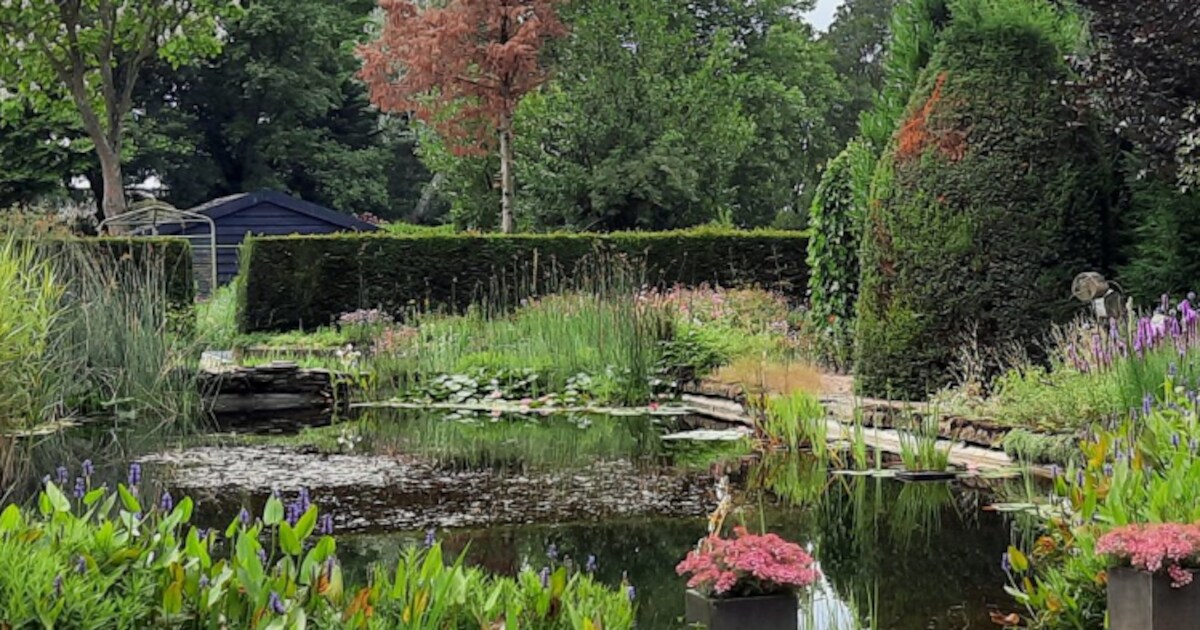 Oud Gastel opent tuinweekend met vaste planten | Uit-tips Brabant ...