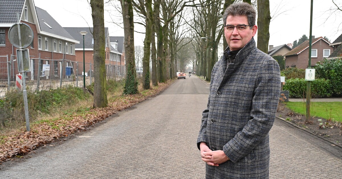 Zorgen over kap van beeldbepalende laanbomen in Stevensbeek: ‘Slechts 7 ...