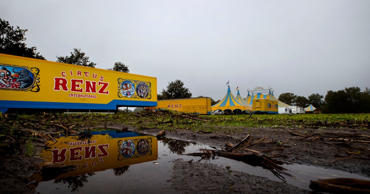 Grond op Berkendonk is te nat voor circus, Helmond biedt zelf ...