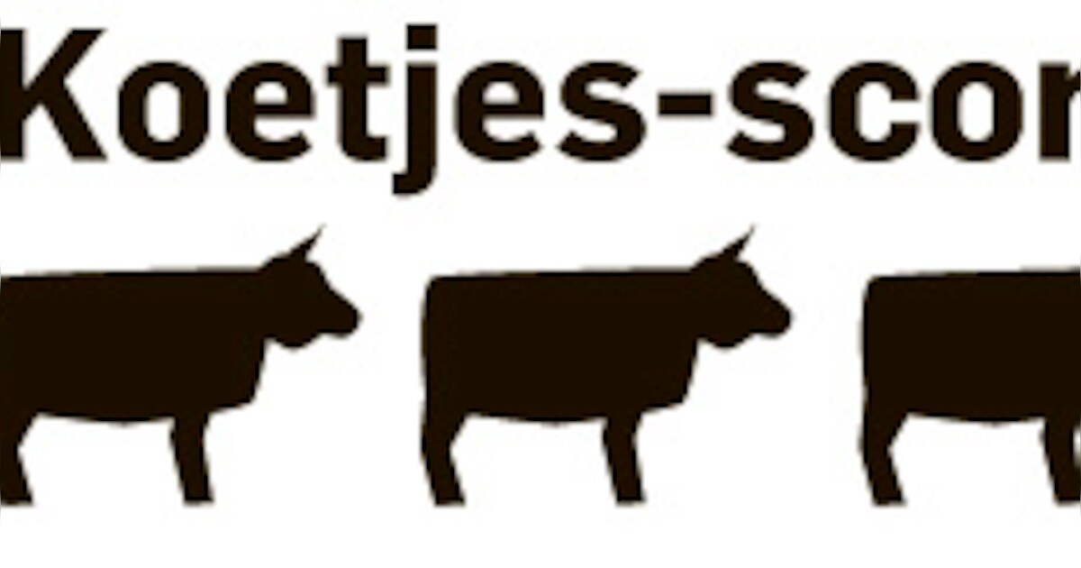 Rob, doe die oogkleppen af! Een toekomst met Wendy zit er niet in ...