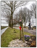 Jolanda sloeg de machoman die zoon Pascal vermoordde. Nu heeft ze ...