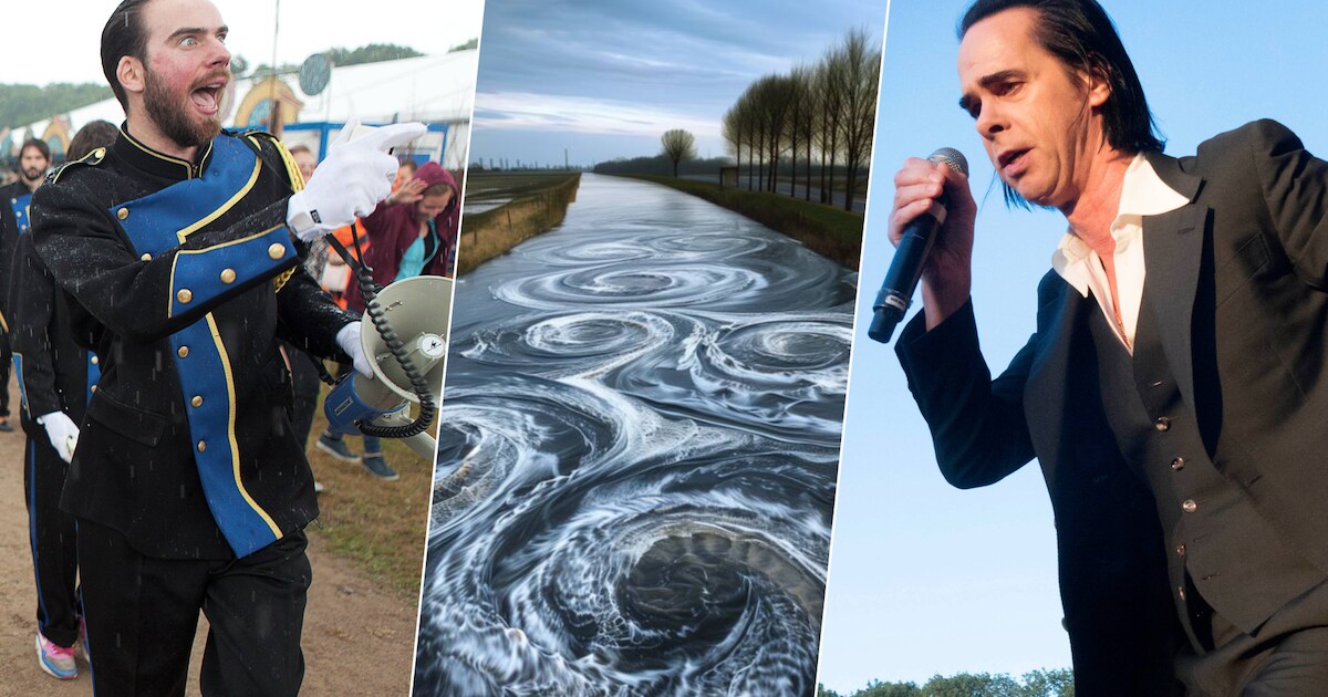 Zeven hoogtepunten uit tien jaar Down The Rabbit Hole: iedereen was ...