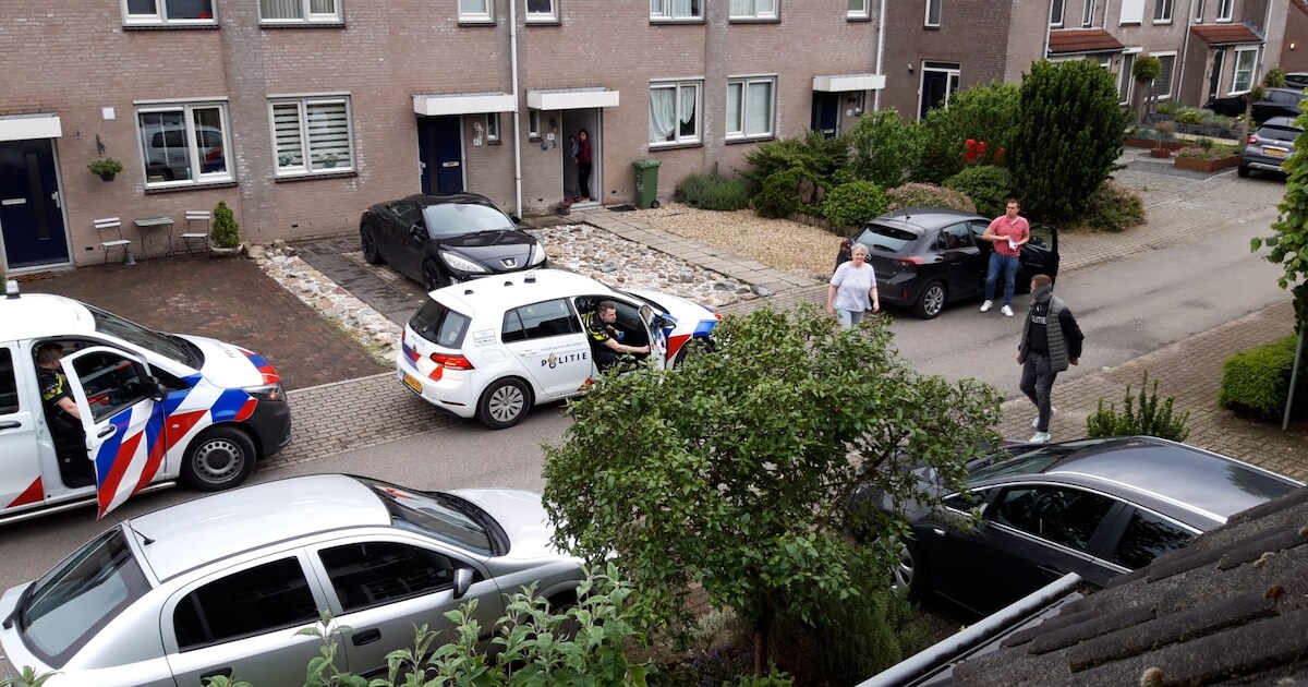 Buurt Middelaar schrikt: wat moet de buurman met al die wapens in zijn ...