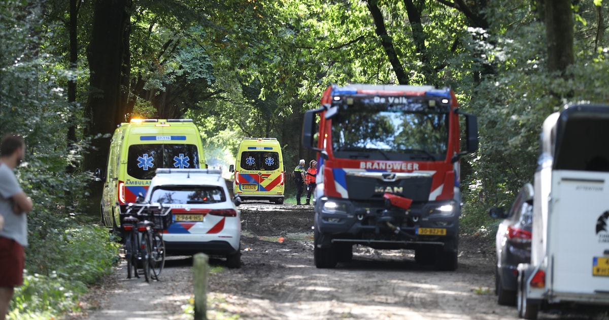 Ruiter ernstig gewond na val van paard | Regio | De Gelderlander.nl