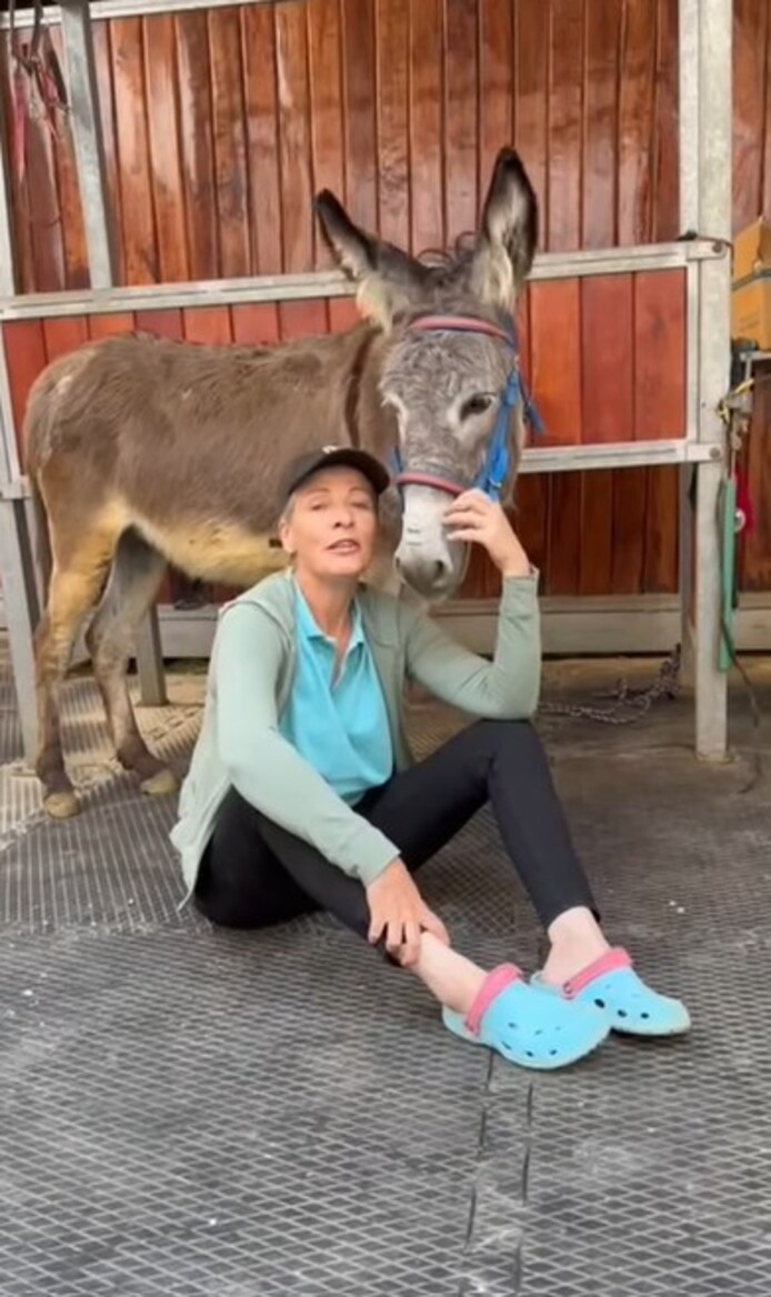 Joke ging Egyptenaar die ezel sloeg te lijf: ‘Er knapte iets in mij ...