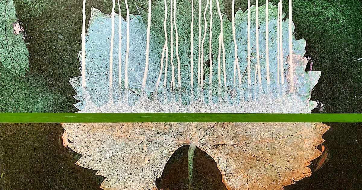 Open ateliers Vrouwe Udasingel in Lent op 14 december | Nijmegen | De ...