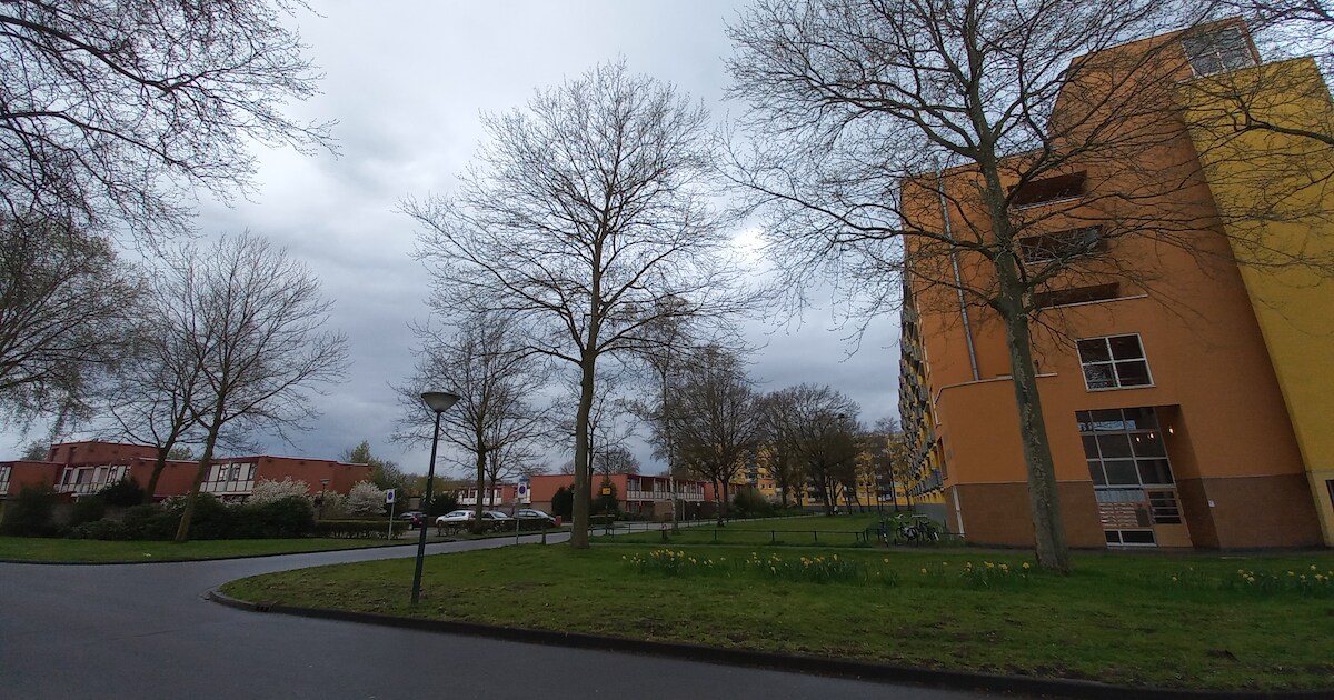 GGD probeert complete wijk in Geldrop te laten stoppen met roken ...