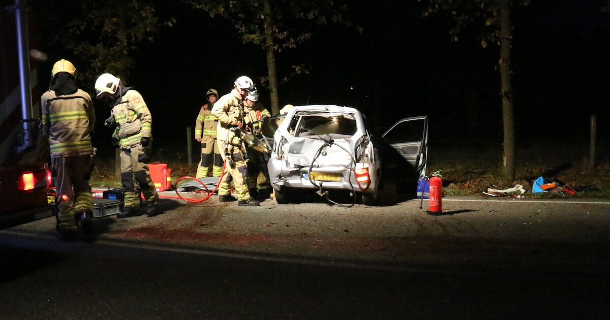 Vrachtwagen ramt auto die staat te wachten tot dode ree van weg is ...