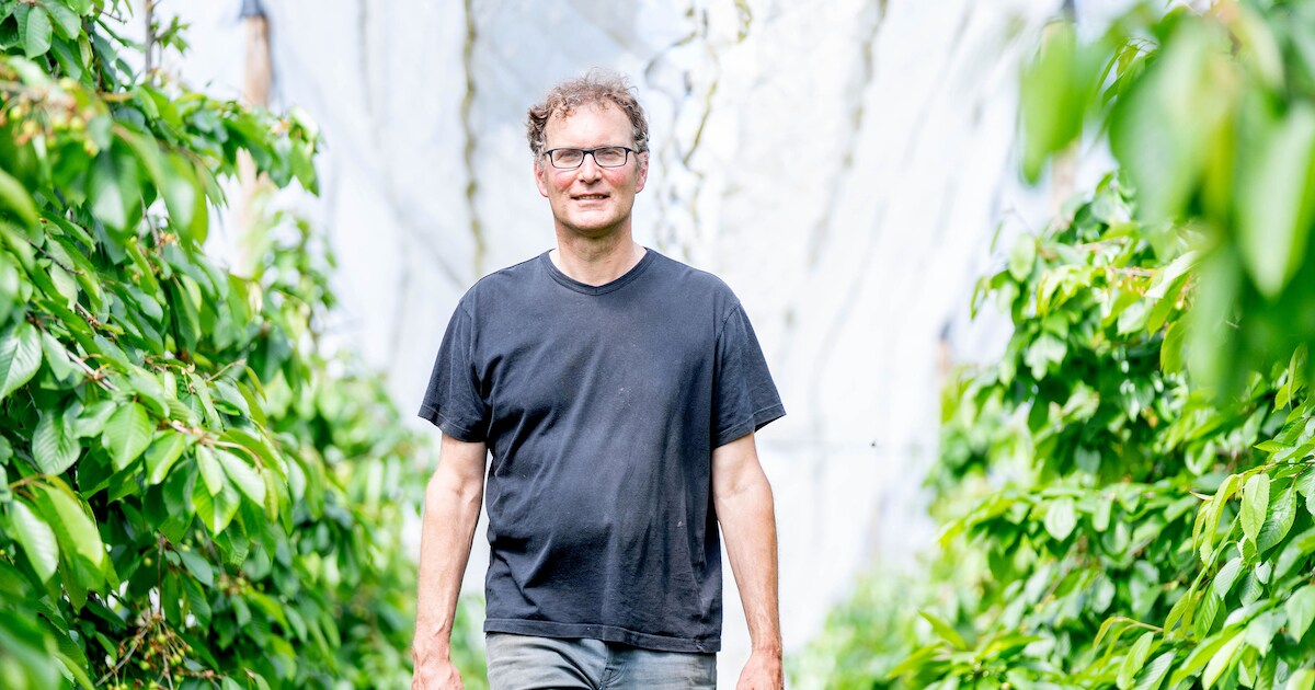 Boer Rob krijgt volop brieven, ondanks negatieve imago: ‘Ze wilden er ...