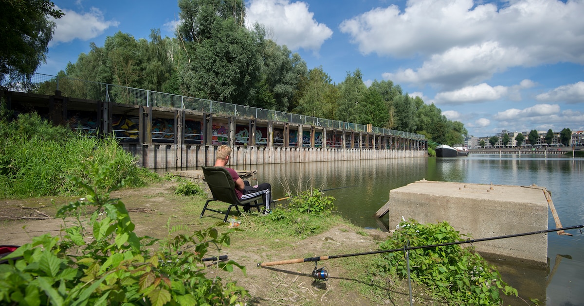 Deze plekken kiezen Arnhemmers als (verrassende) ‘hotspot’ en ‘notspot ...