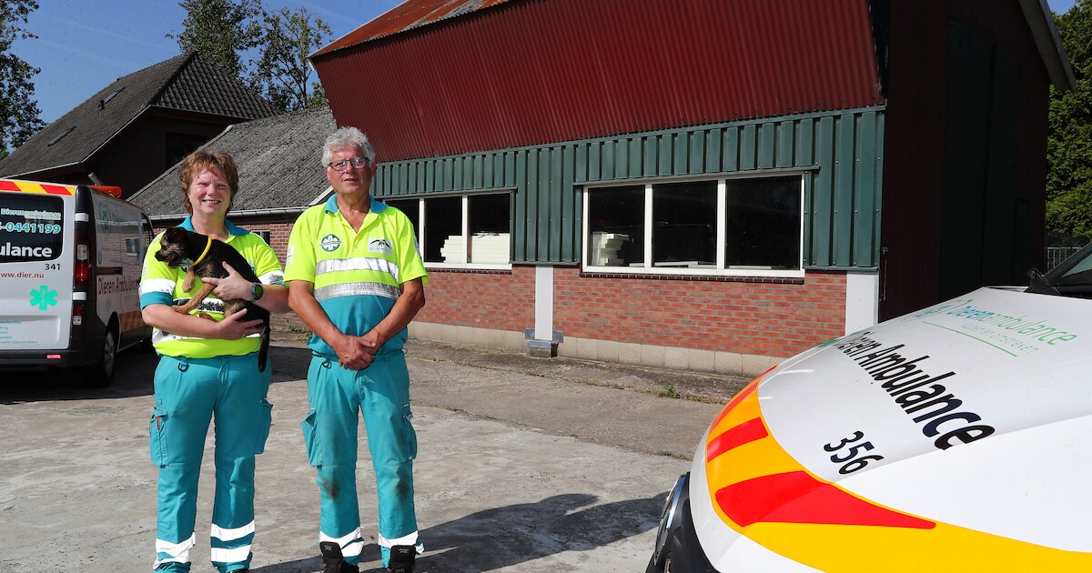 Dierenvoedselbank voor minima: ‘Iedereen moet een dier kunnen hebben ...