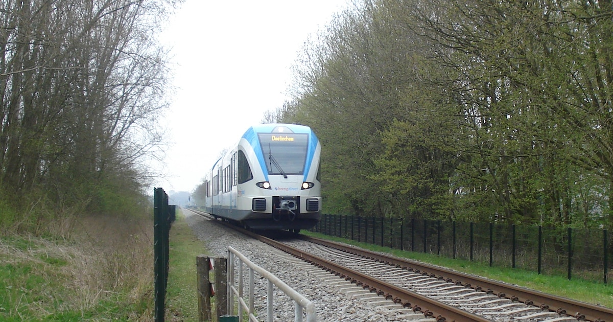 'Dubbelspoor enorme slag voor de Achterhoek' | Achterhoek | gelderlander.nl