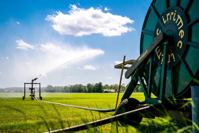 Verboden te sproeien vanwege extreem droge periode (en het wordt nog ...