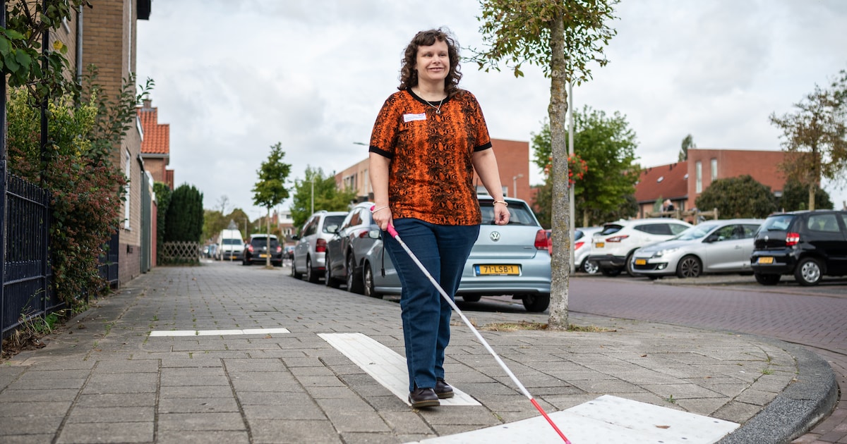 Vier Arnhemmers ridder, negen lid in de Orde van Oranje-Nassau | Regio ...