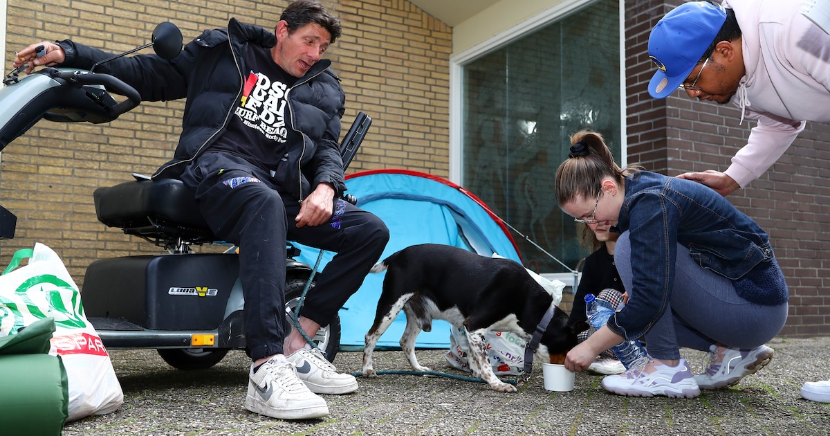 Dakloos op straat in je geboortestad: Marco (50) en zijn hond Nelis ...
