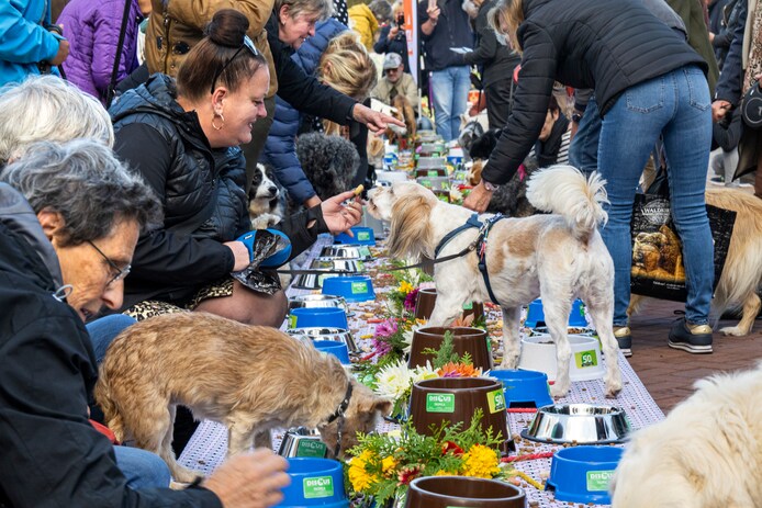 Blafbuffet in Dieren: ‘Het is thuis een stuk luxer dineren dan hier op ...