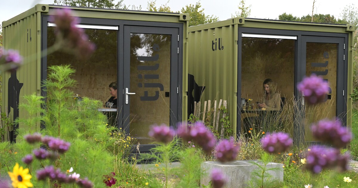 Ontspannen werken in een gepimpte container terwijl de roofvogels ...