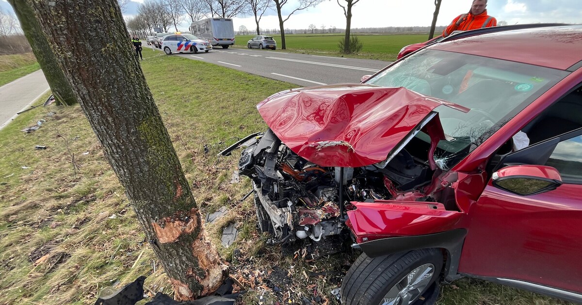 Automobiliste botst tegen boom, auto raakt zwaar beschadigd | Brabant | De Gelderlander.nl